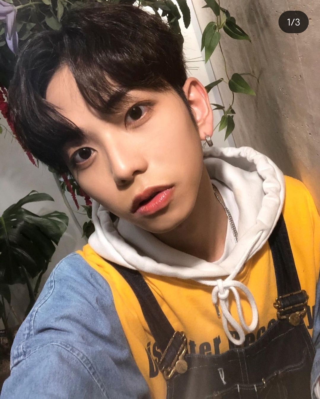 더쿠 - 보이즈플래닛의 안토니, 하루토, 유토: 타쿠토 소속사 YY엔터테인먼트에서 TOZ로 데뷔 확정 ️