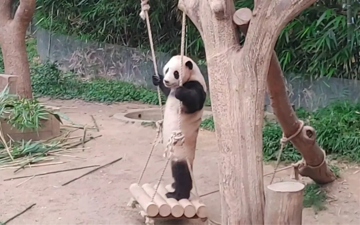 더쿠 - 용인푸씨 푸춘향 인사드리옵니다