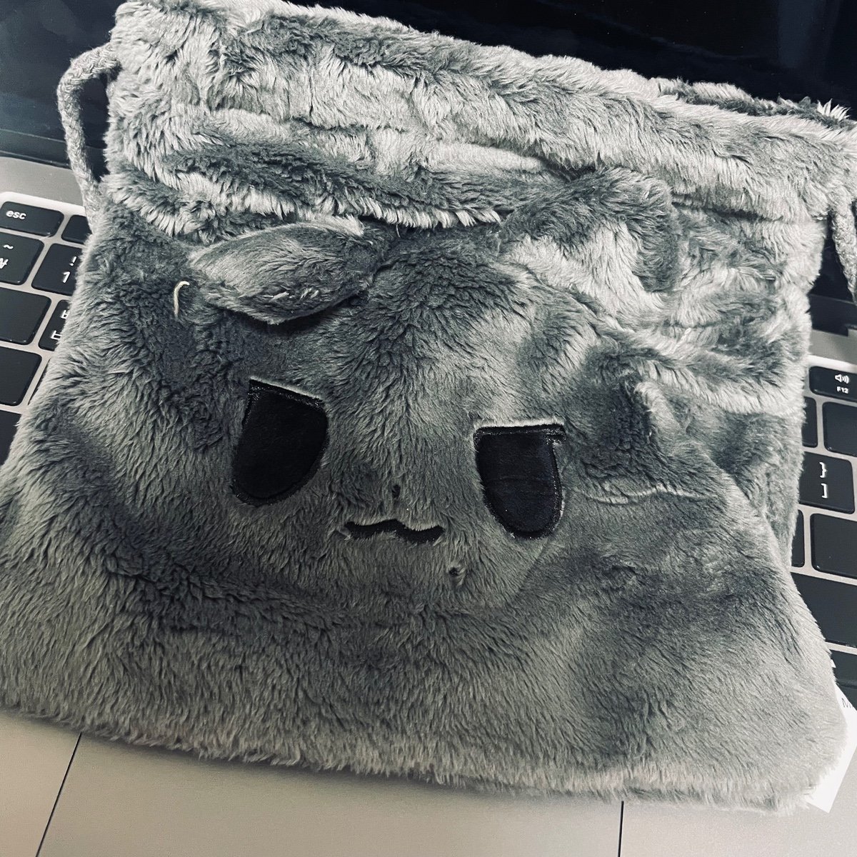 더쿠 - 헐헐 내가 산 카리나 비공굿 파우치봐봐