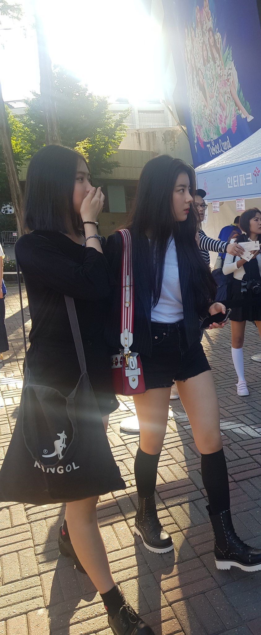 더쿠 이미지 보기