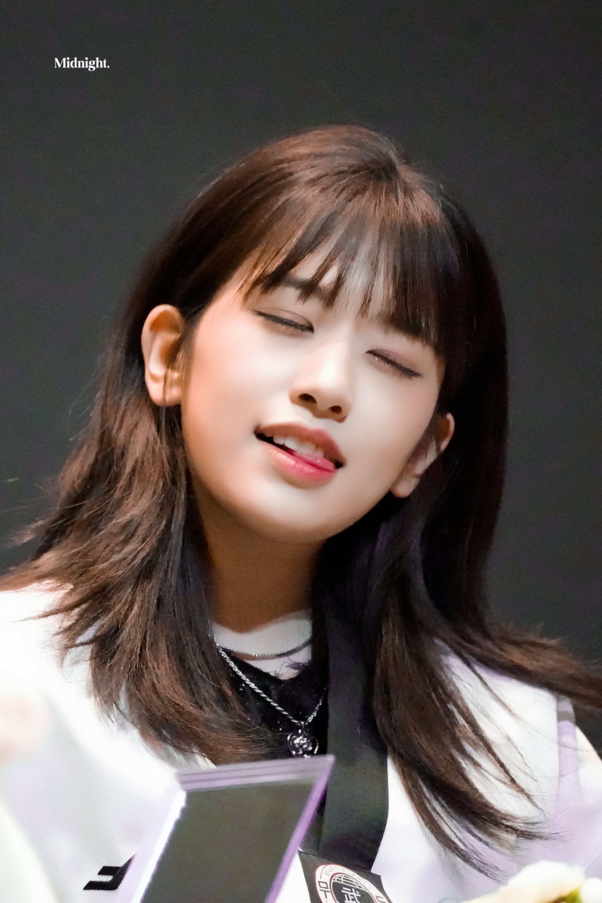 더쿠 - 우리집 초딩아기강아지 귀여워요