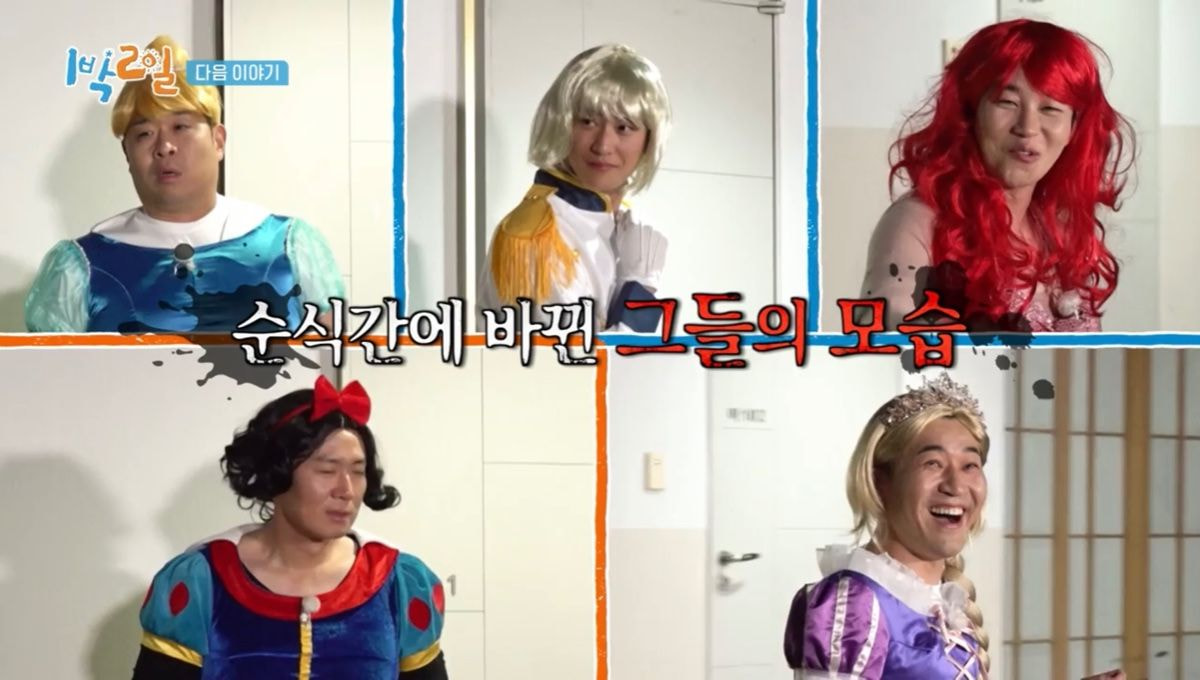 더쿠 이미지 보기